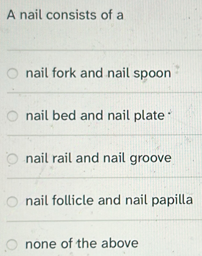 Solved: A nail consists of a nail fork and nail spoon nail bed and nail ...