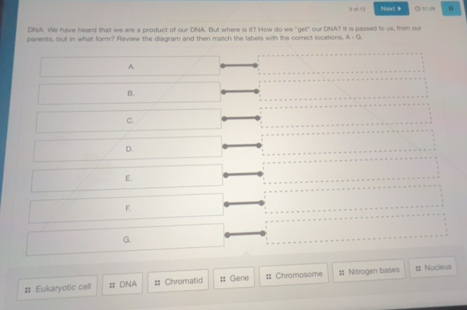 Gelöst:of 12 Next》 ⊙ 81 26 u DNA. We have heard that we are a product ...