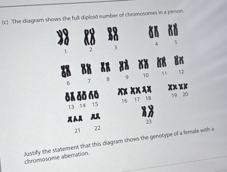 แก้ไขแล้ว:The diagram shows the full diploid number of chromosomes in a ...