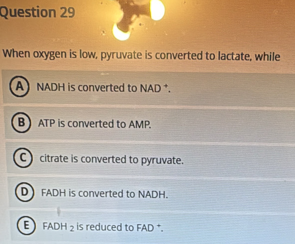 Solved: When oxygen is low, pyruvate is converted to lactate, while A ...