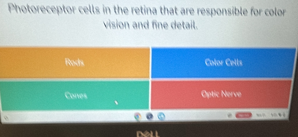 Solved: Photoreceptor cells in the retina that are responsible for ...