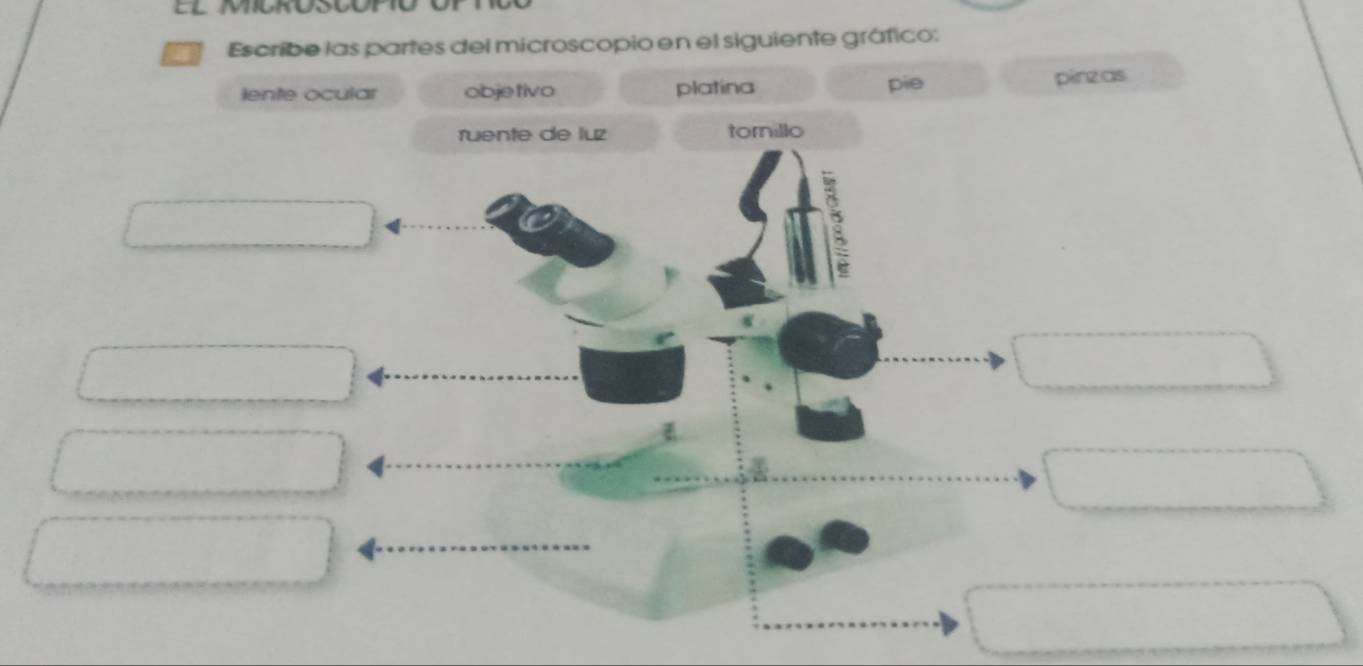 Resuelto:Escribe las partes del microscopio en el siguiente gráfico ...