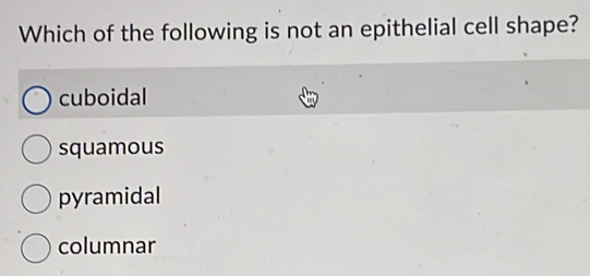 Solved: Which of the following is not an epithelial cell shape? cuboidal squamous pyramidal ...
