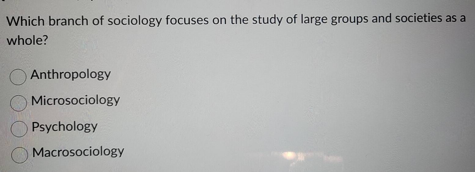 Solved: Which branch of sociology focuses on the study of large groups ...
