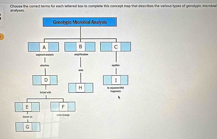 Solved: Choose the correct terms for each lettered box to complete this ...