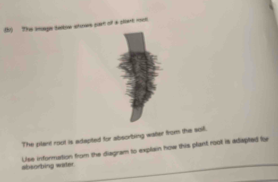 Solved: The image balow shows part of a slant rest. The plart root is ...