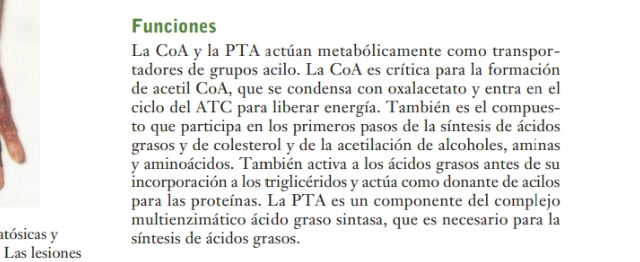 Resuelto:Funciones La CoA y la PTA actúan metabólicamente como transpor ...