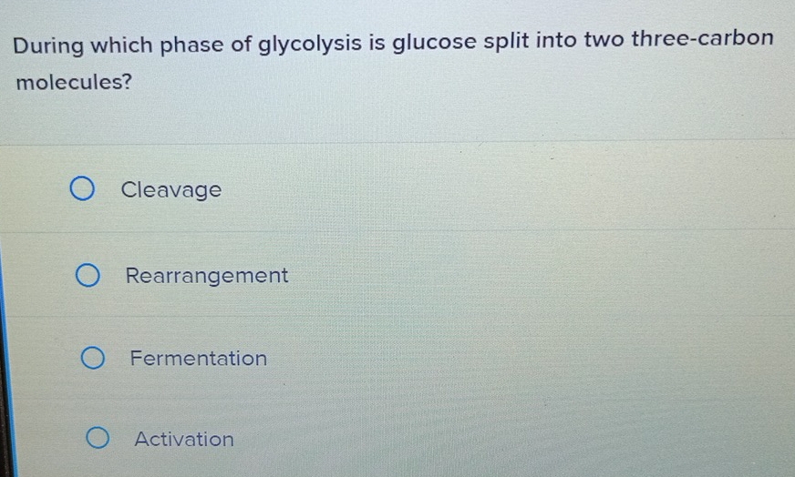 Solved: During which phase of glycolysis is glucose split into two ...
