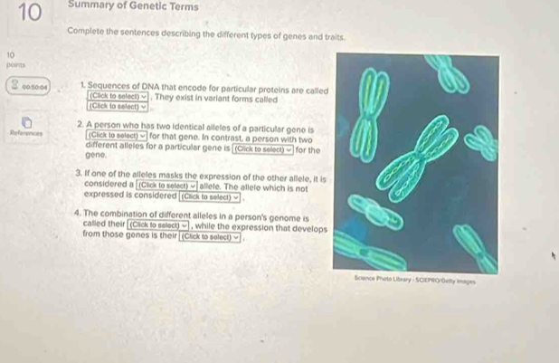 Solved: Summary of Genetic Terms Complete the sentences describing the ...