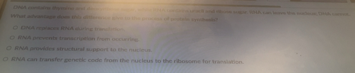 Solved: DNA contains thymine and densyrbose mer whiteHNA contains uraci ...