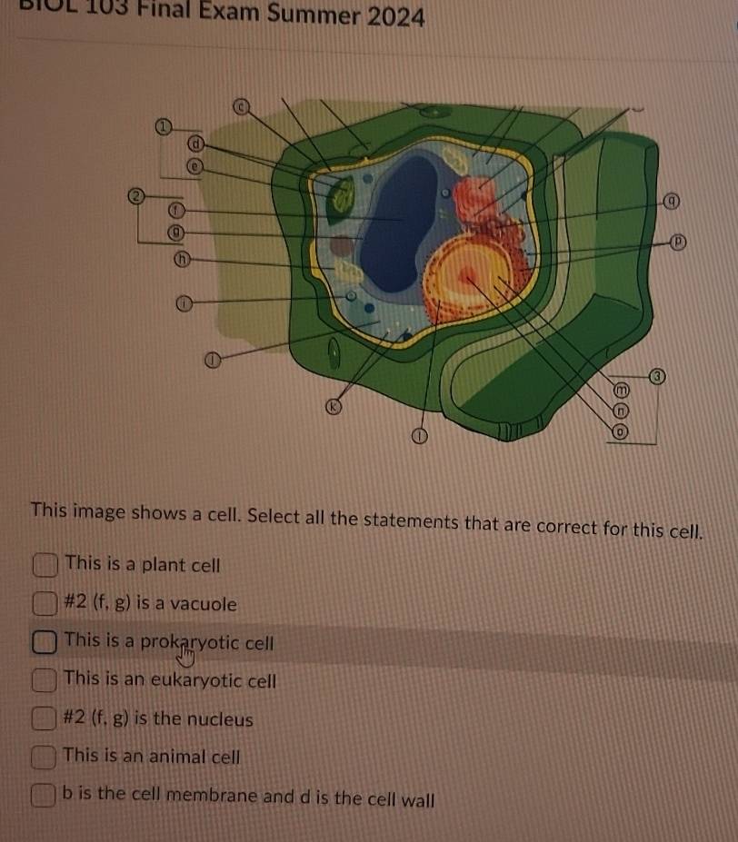 Solved: BIOL 103 Final Exam Summer 2024 This image shows a cell. Select ...