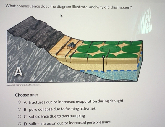 Solved: What consequence does the diagram illustrate, and why did this ...