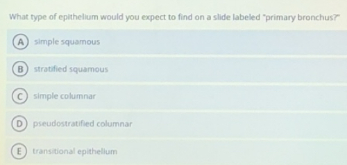 Solved: What type of epithelium would you expect to find on a slide ...