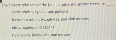 Solved: The closest relatives of the familiar pine and spruce trees are ...