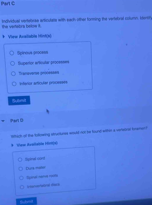 Solved: Individual vertebrae articulate with each other forming the ...