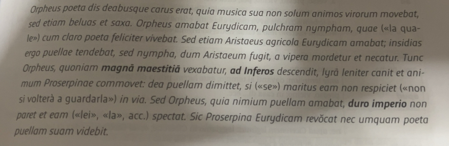 Risolto:Orpheus poeta dis deabusque carus erat, quia musica sua non ...