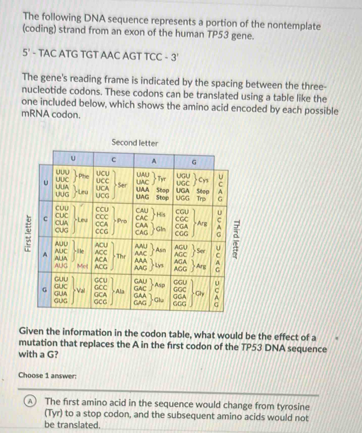 Solved: The following DNA sequence represents a portion of the nontemplate (coding) strand from ...