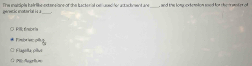 Solved: The multiple hairlike extensions of the bacterial cell used for ...
