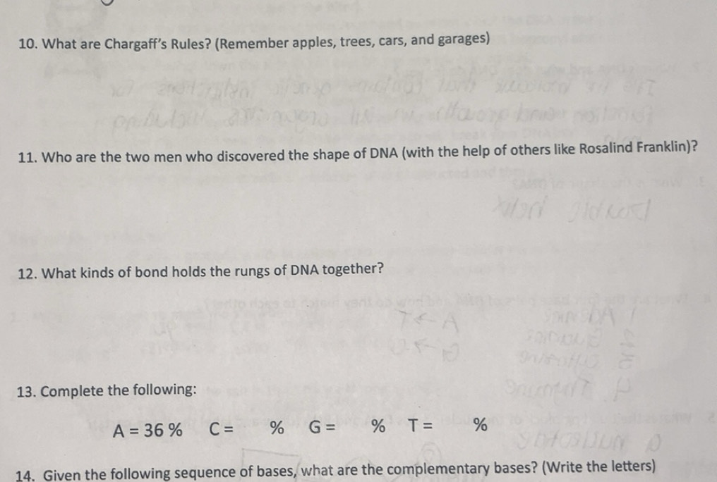 Solved: What are Chargaff’s Rules? (Remember apples, trees, cars, and ...