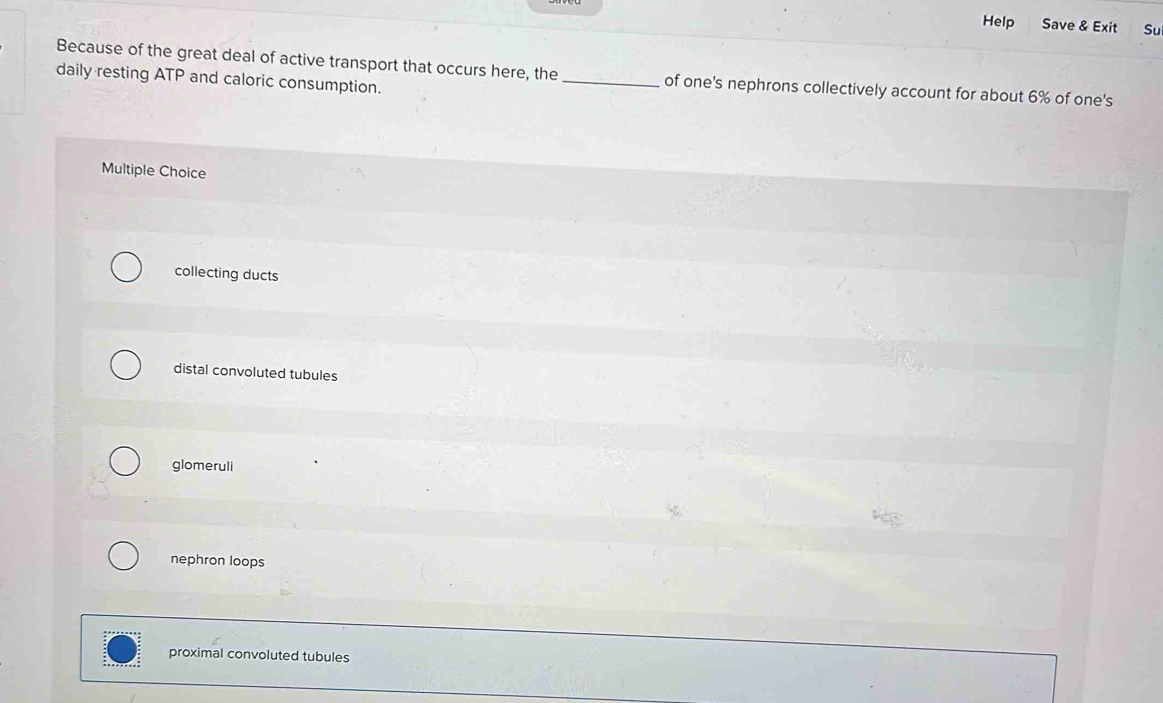 Solved: Help Save & Exit Su Because of the great deal of active transport that occurs here, the ...