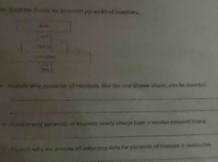 Selesai:to diagrme shoe an imened pyramld of symbers. e Explain why ...