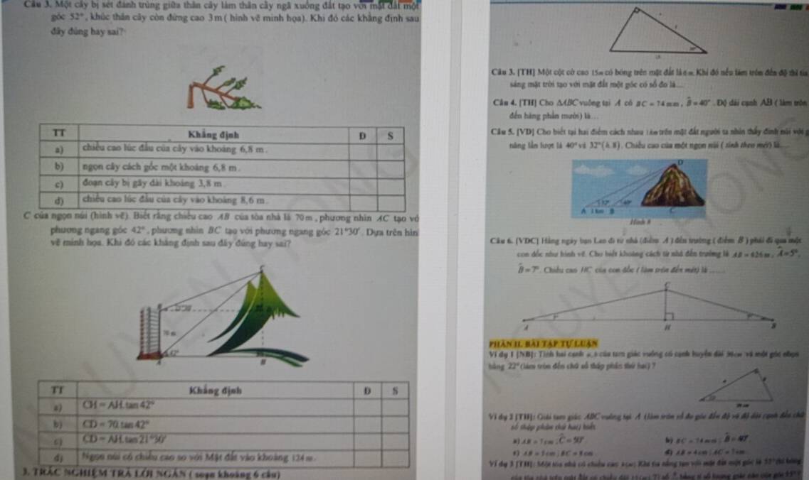 Solved: Một cây bị sét đánh trùng giữa thân cây làm thân cây ngã xuồng ...