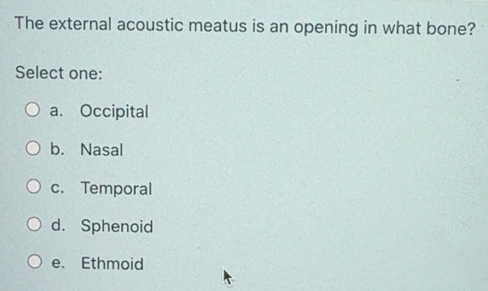 Solved: The external acoustic meatus is an opening in what bone? Select ...
