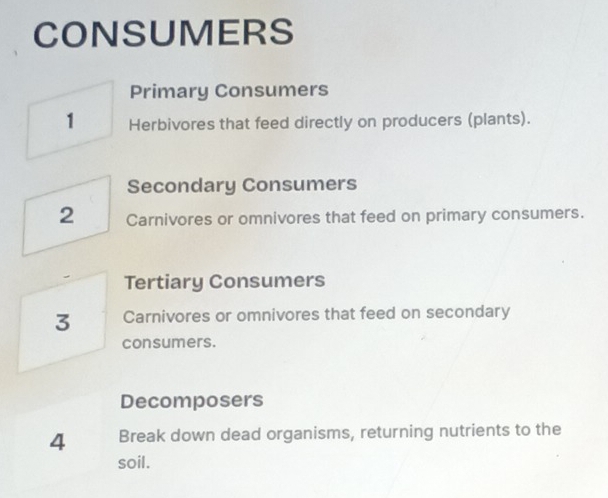 Solved: CONSUMERS Primary Consumers 1 Herbivores that feed directly on ...