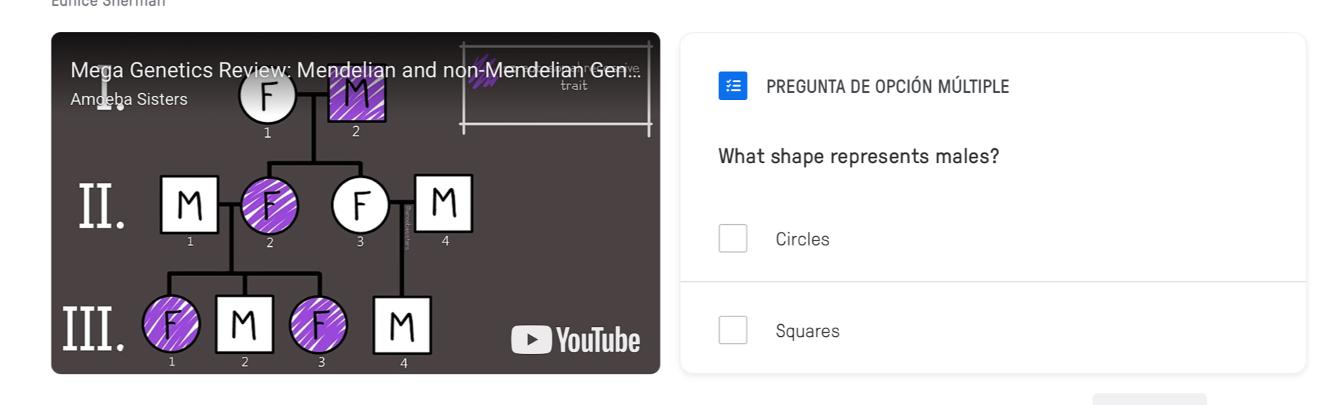 Solved: Mega Genetics Review: Mendelian and non-Mendelian Gen.. Amoeba ...