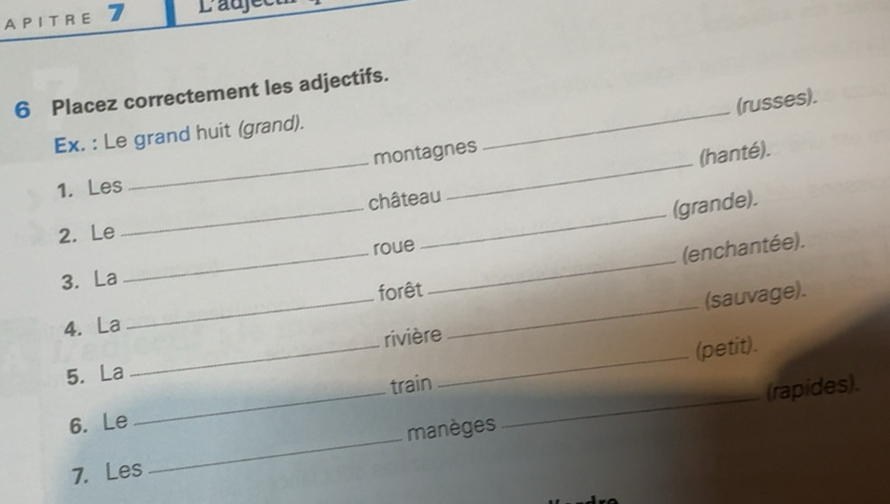 Solved: A PITRE 7 L'adje 6 Placez correctement les adjectifs ...