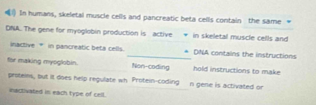 Solved: In humans, skeletal muscle cells and pancreatic beta cells ...