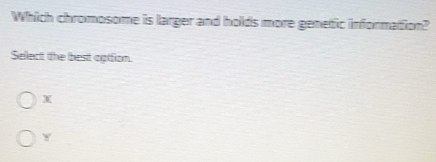 Solved: Which chromosome is larger and holds more genetic information ...