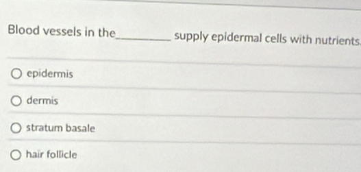 Solved: Blood vessels in the_ supply epidermal cells with nutrients epidermis dermis stratum ...