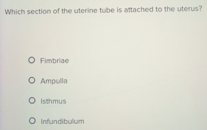 Solved: Which section of the uterine tube is attached to the uterus ...