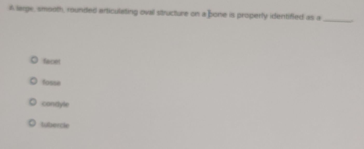 Solved: A large, smooth, rounded articulating oval structure on a bone is properly identified as ...