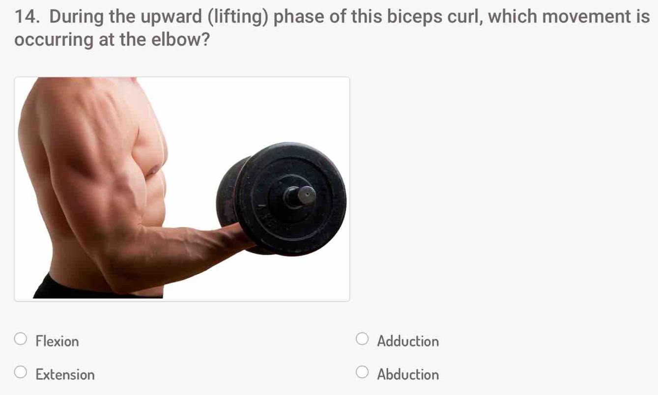 Solved: During the upward (lifting) phase of this biceps curl, which ...