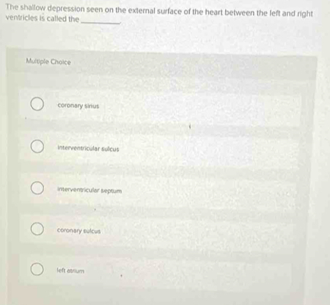 Solved: The shallow depression seen on the external surface of the ...
