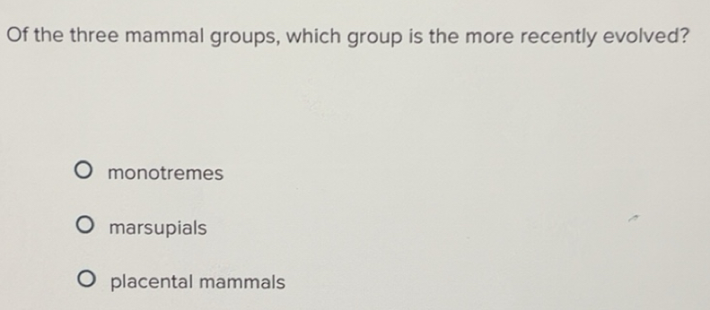 Solved: Of the three mammal groups, which group is the more recently ...