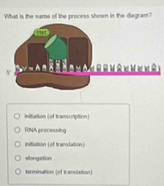Solved: What is the name of the process shown in the diagram ...