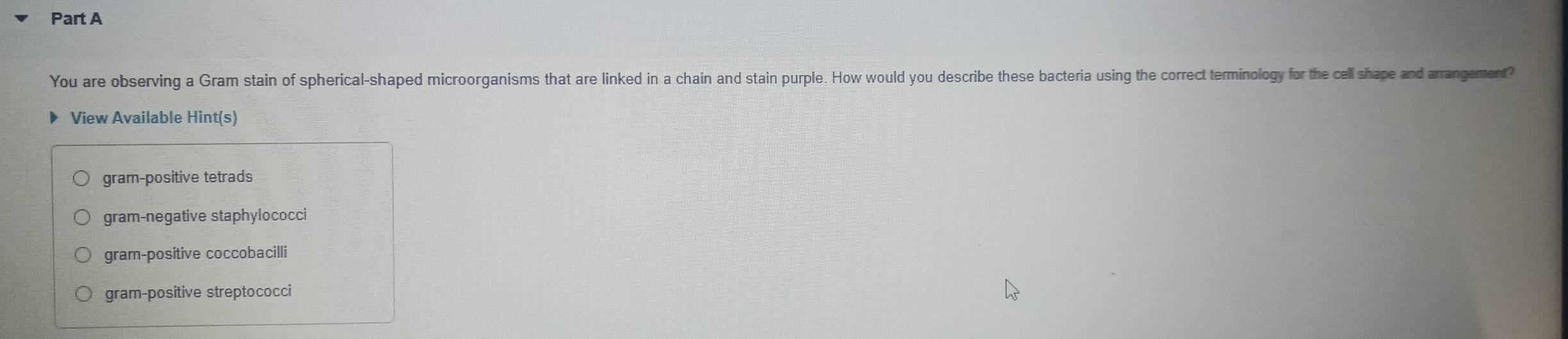 Solved: You are observing a Gram stain of spherical-shaped ...