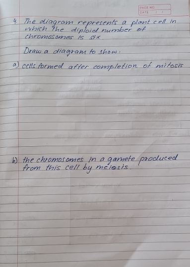 Solved: The diagram represents a plant cell in which the diploid number ...