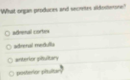 Solved: What organ produces and secretes aldocterone? adrenal cortex ...