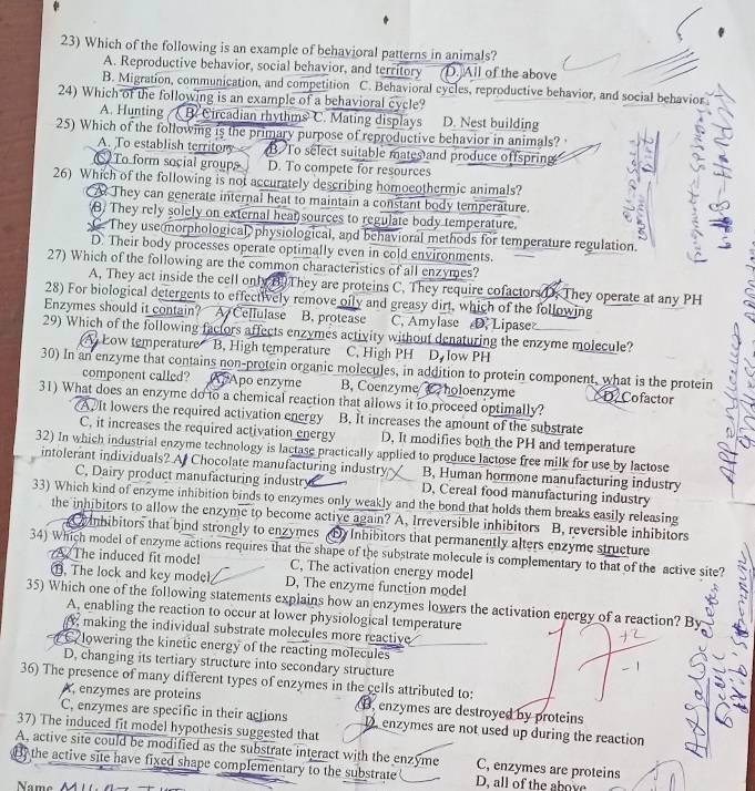 Gelöst:Which of the following is an example of behavioral patterns in ...