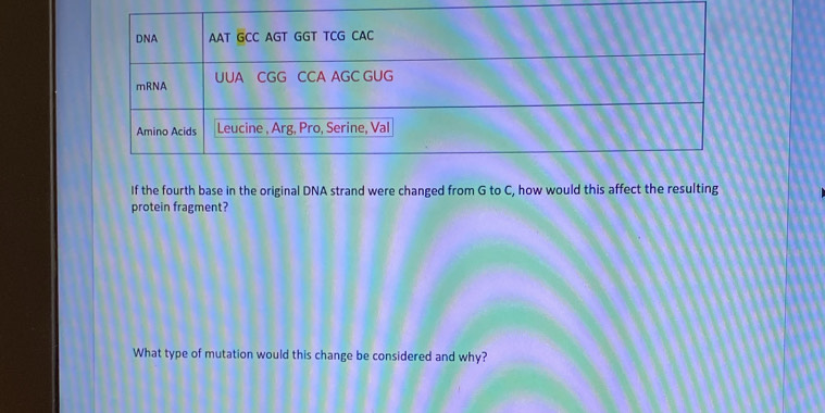 Solved: If the fourth base in the original DNA strand were changed from ...