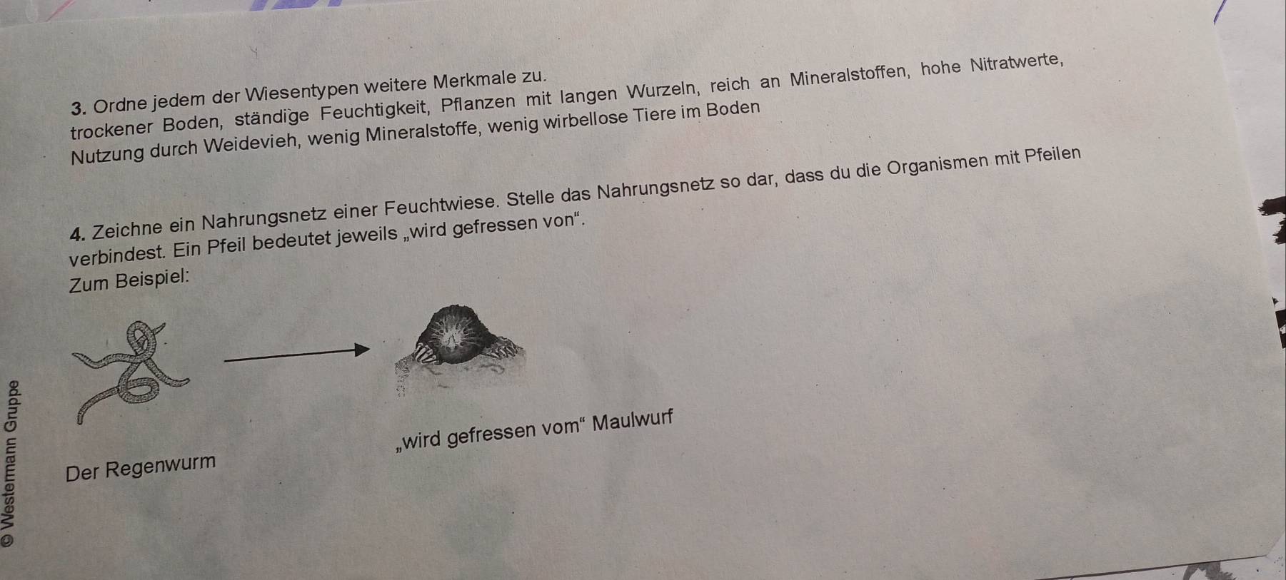 Gelöst:Ordne jedem der Wiesentypen weitere Merkmale zu. trockener Boden ...
