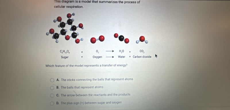 Solved: This diagram is a model that summarizes the process of cellular ...