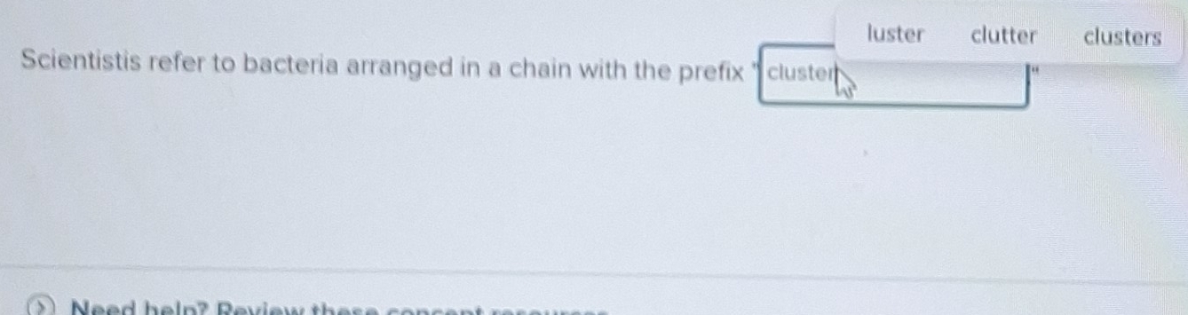 Solved: luster clutter clusters Scientistis refer to bacteria arranged ...