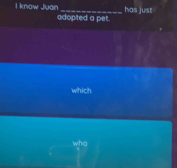 Giải quyết:know Juan _has just adopted a pet. which who