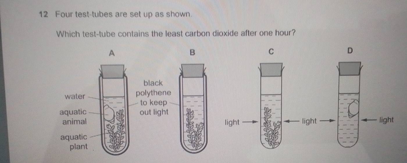 Selesai:Four test-tubes are set up as shown Which test-tube contains ...