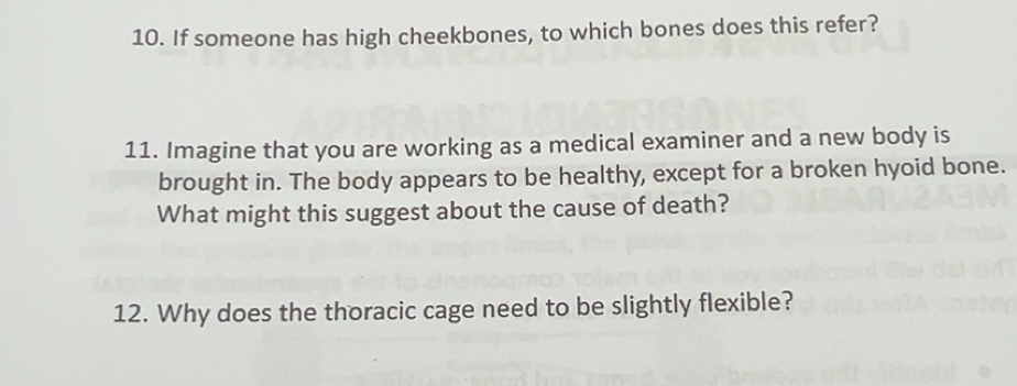 Solved: If someone has high cheekbones, to which bones does this refer ...